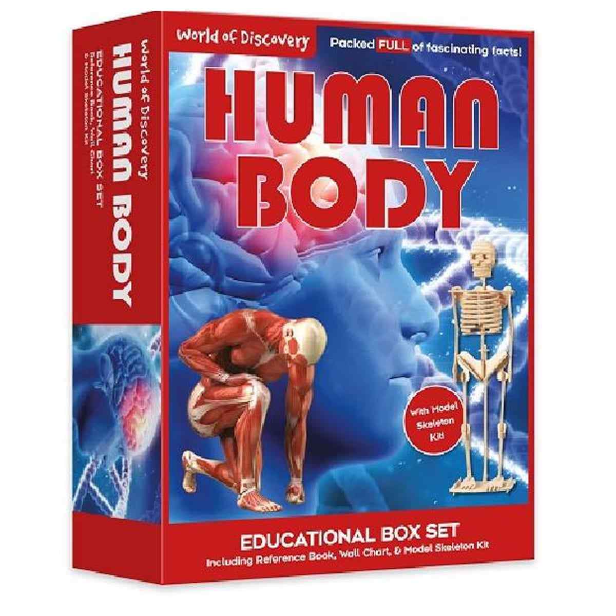 Human Body Educational Box Set – Kidzstuffonline