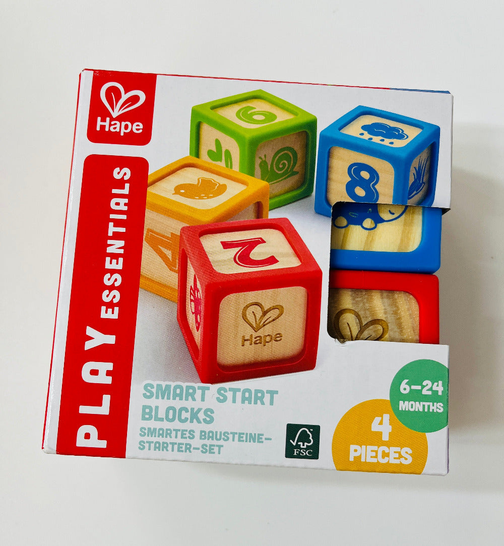 Hape Smart start Blocks 4 Pieces – Kidzstuffonline